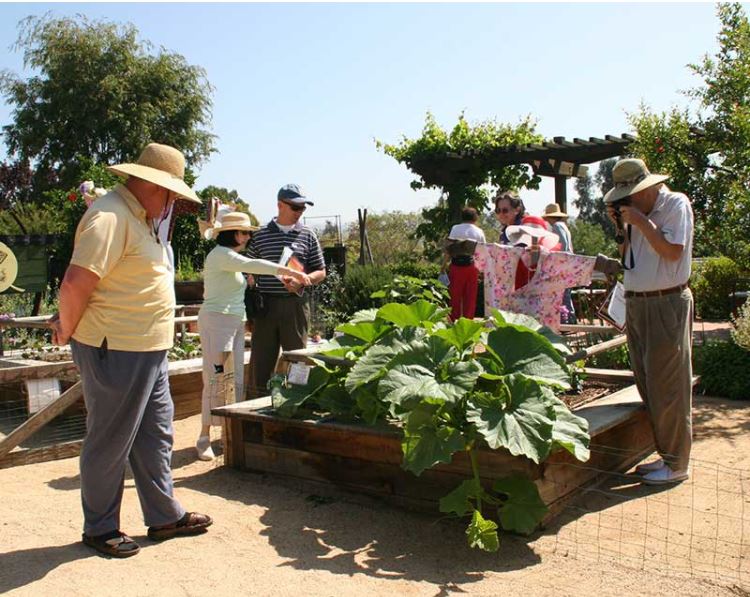 Watering Wisdom - The Water Conservation Garden