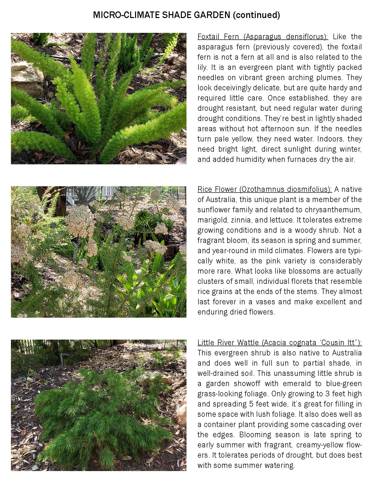 Microclimate - The Water Conservation Garden